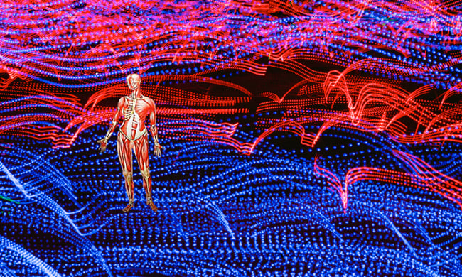 First Whole-Body PET/CT: 3D Image of Entire Human Body Captured