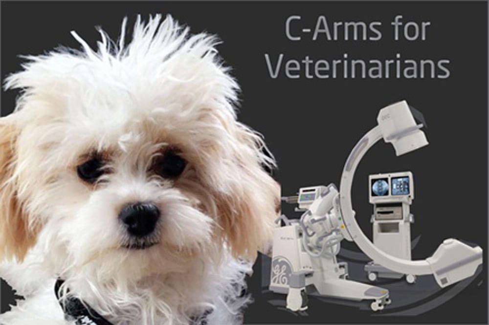 C-Arms - The Perfect Tool for Veterinarians