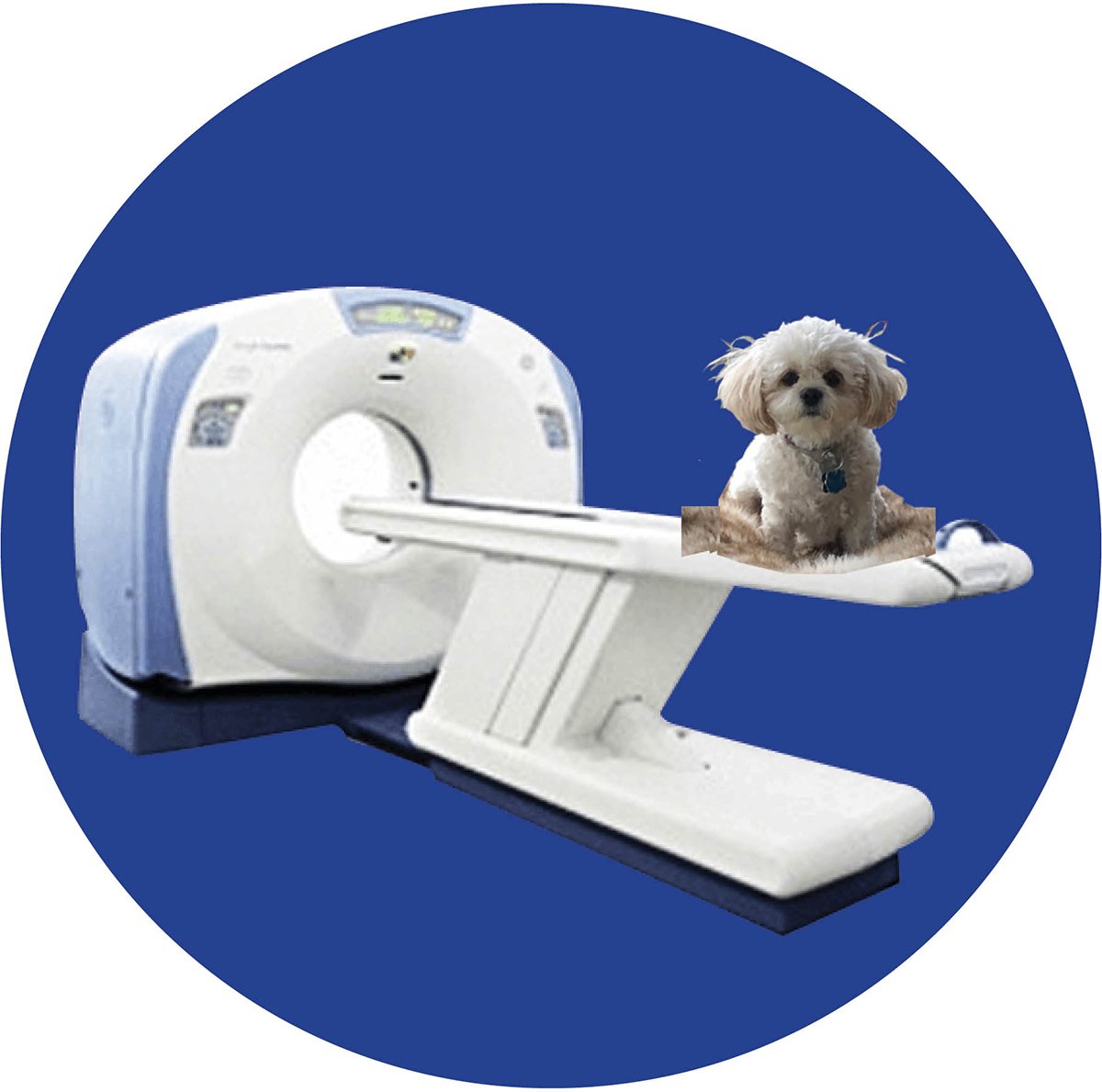 CT Scanners That Veterinarians Should Consider